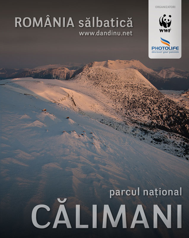 CALIMANI :: un nou episod Romania Salbatica - Manfrotto Romania